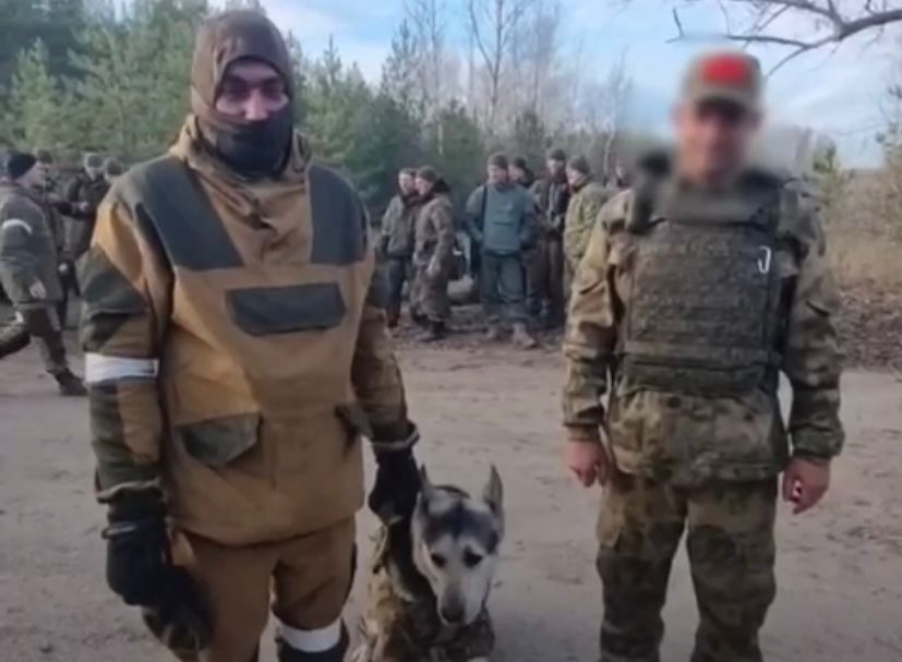 Мобилизованный туляк отправился на службу вместе с четвероногим другом ...